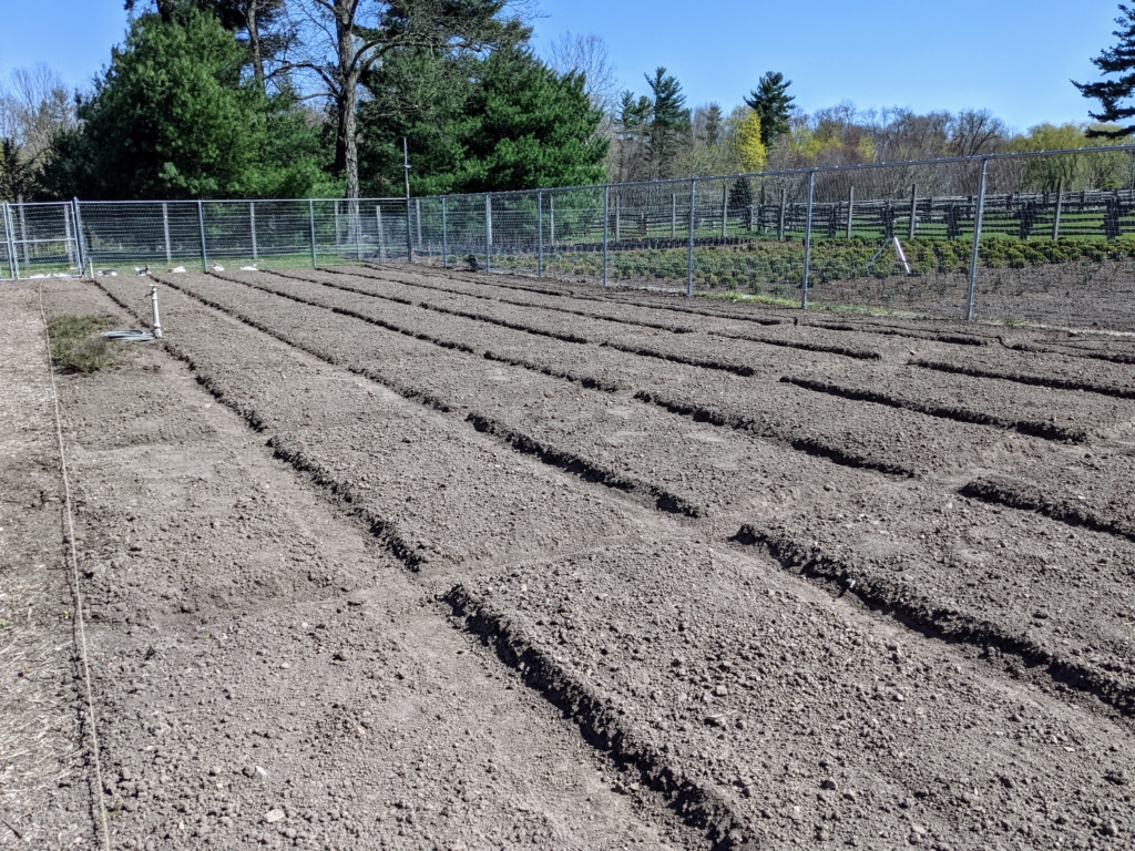 Rototilling and Preparing the Vegetable Gardens for Planting - The ...