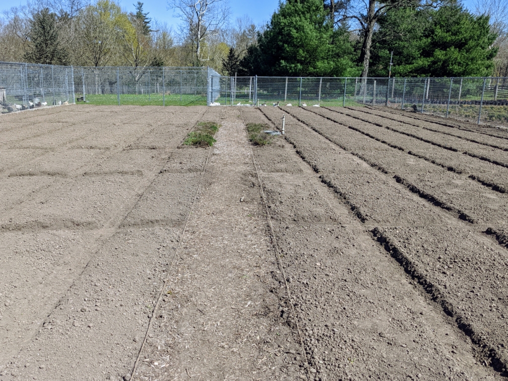 Rototilling and Preparing the Vegetable Gardens for Planting - The ...