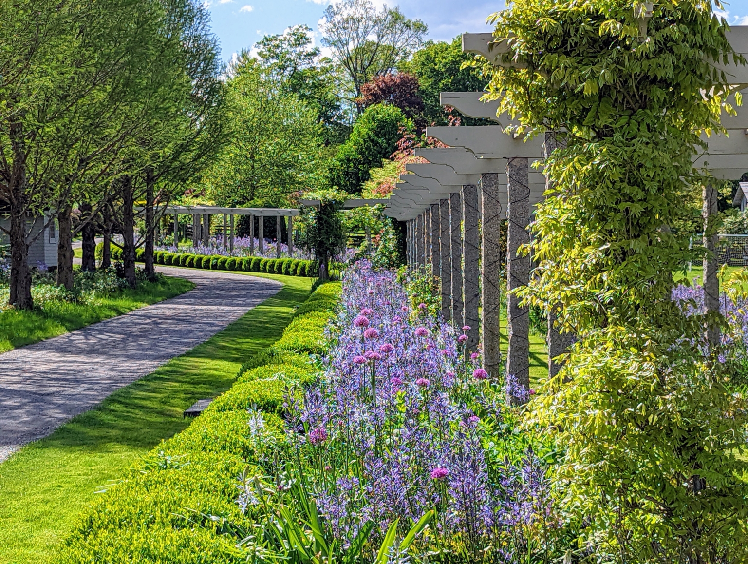 My Blooming Pergola Garden in May - The Martha Stewart Blog