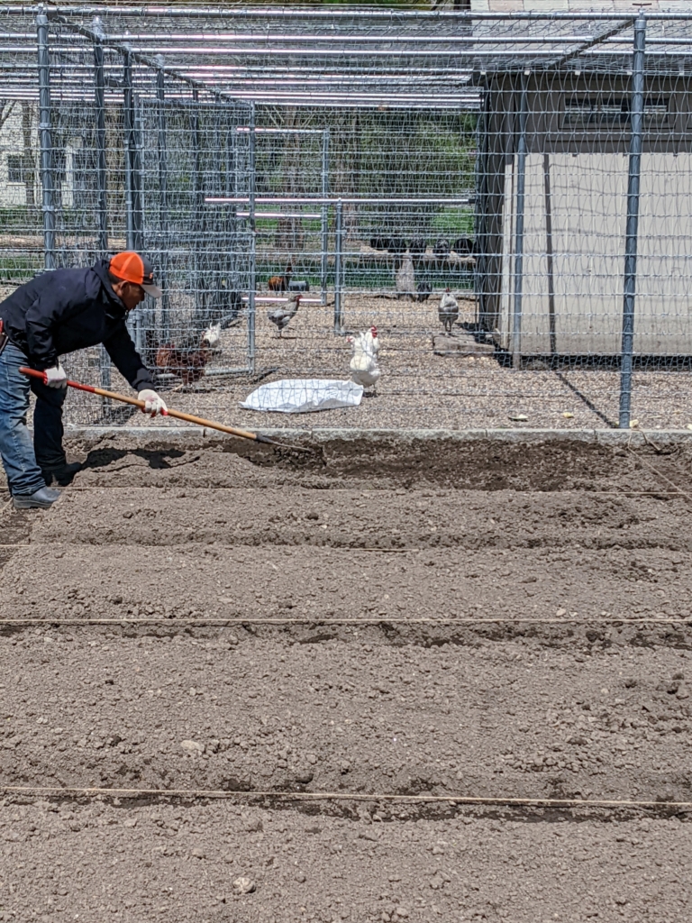 Rototilling and Preparing the Vegetable Gardens for Planting - The ...