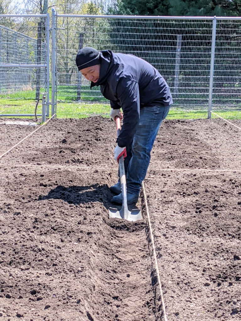Rototilling and Preparing the Vegetable Gardens for Planting - The ...