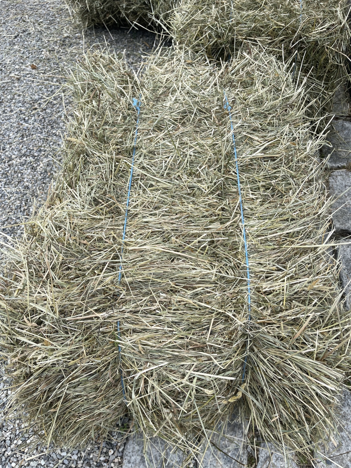 First Cut Hay 2022 - The Martha Stewart Blog