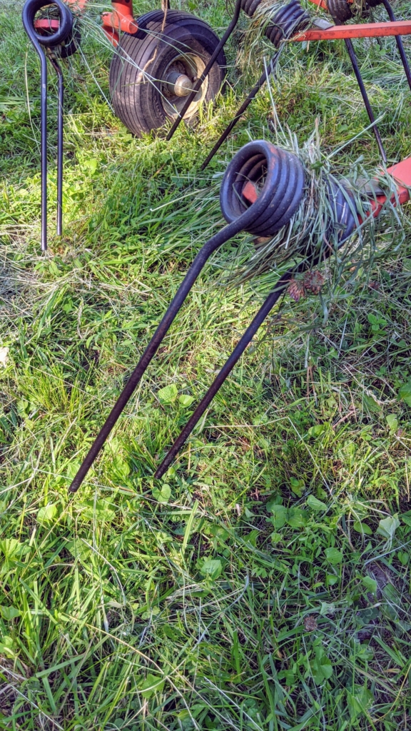 In My Fields Preparing the Hay for Baling - The Martha Stewart Blog