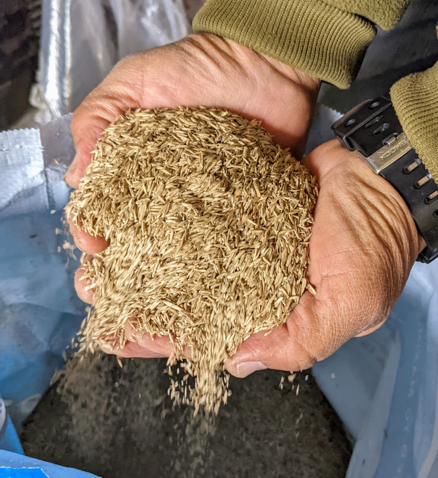 In My Fields Preparing the Hay for Baling - The Martha Stewart Blog