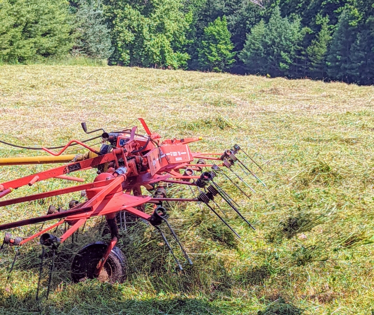 In My Fields Preparing the Hay for Baling - The Martha Stewart Blog