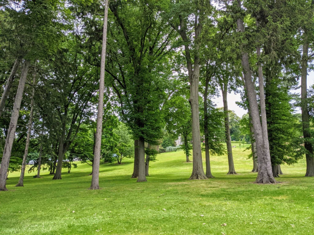 A Visit to Lyndhurst - The Martha Stewart Blog