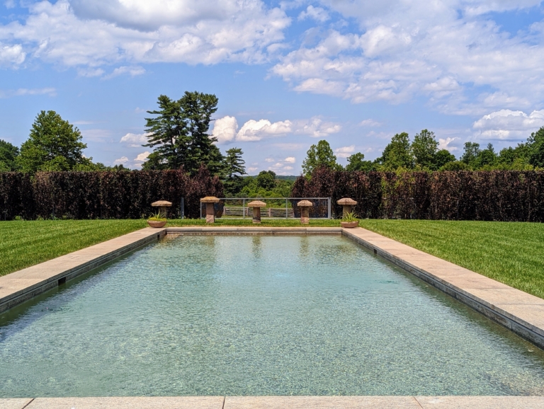 Pruning the Hedges Around My Pool - The Martha Stewart Blog