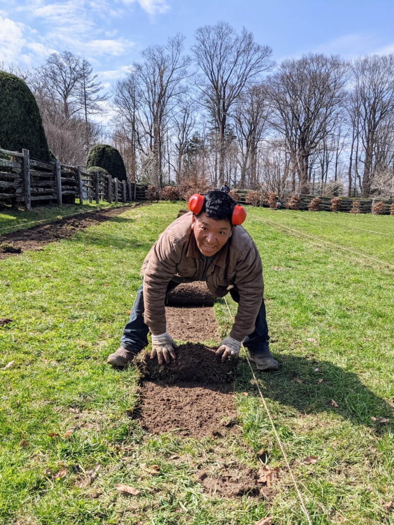 Planting a Maze at My Farm - The Martha Stewart Blog