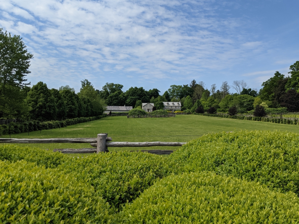 Planting a Maze at My Farm - The Martha Stewart Blog