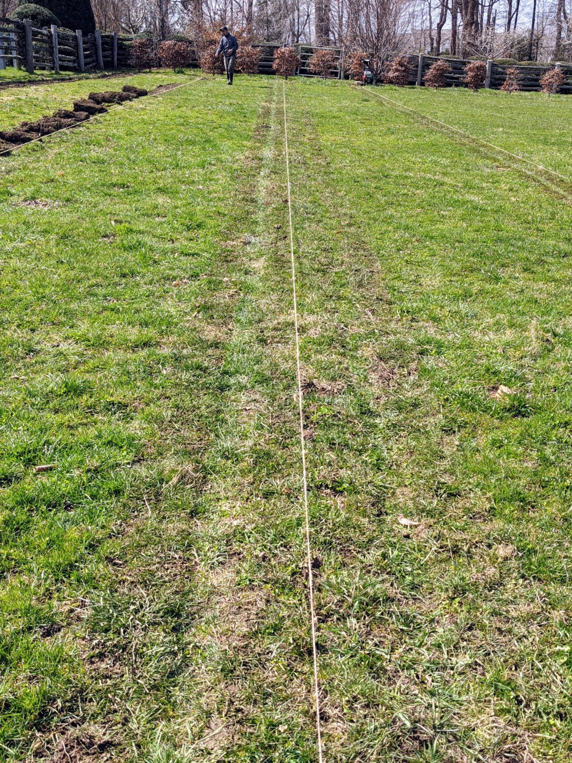 The Martha Stewart Blog : Blog Archive Planting a Maze at My Farm - The ...