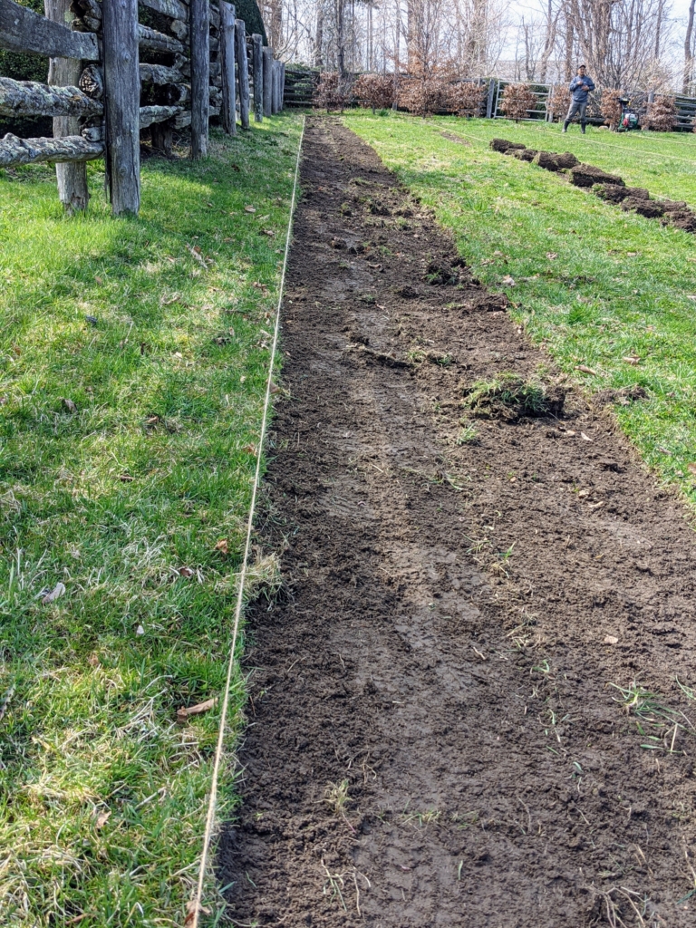 The Martha Stewart Blog : Blog Archive Planting a Maze at My Farm - The ...
