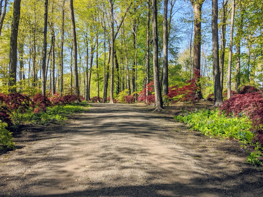 Maintaining My Carriage Roads - The Martha Stewart Blog