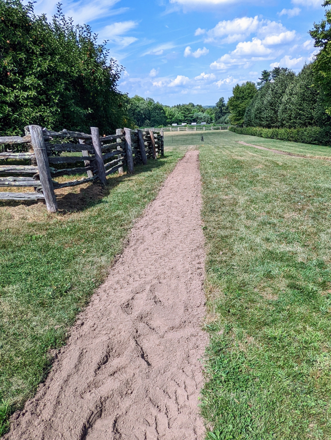 My Growing Garden Maze - The Martha Stewart Blog