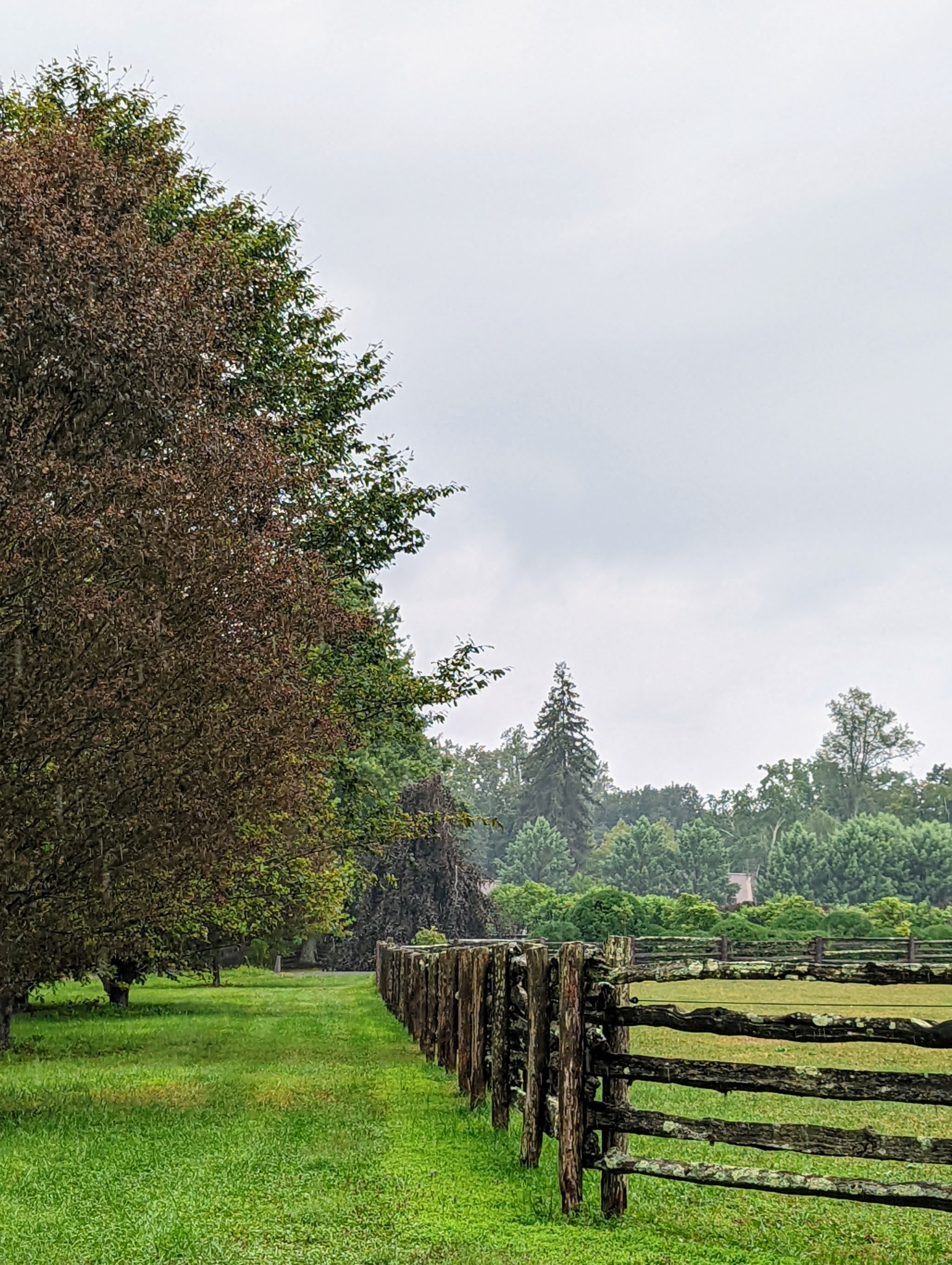 Much Needed Rain Falls Over My Farm - The Martha Stewart Blog
