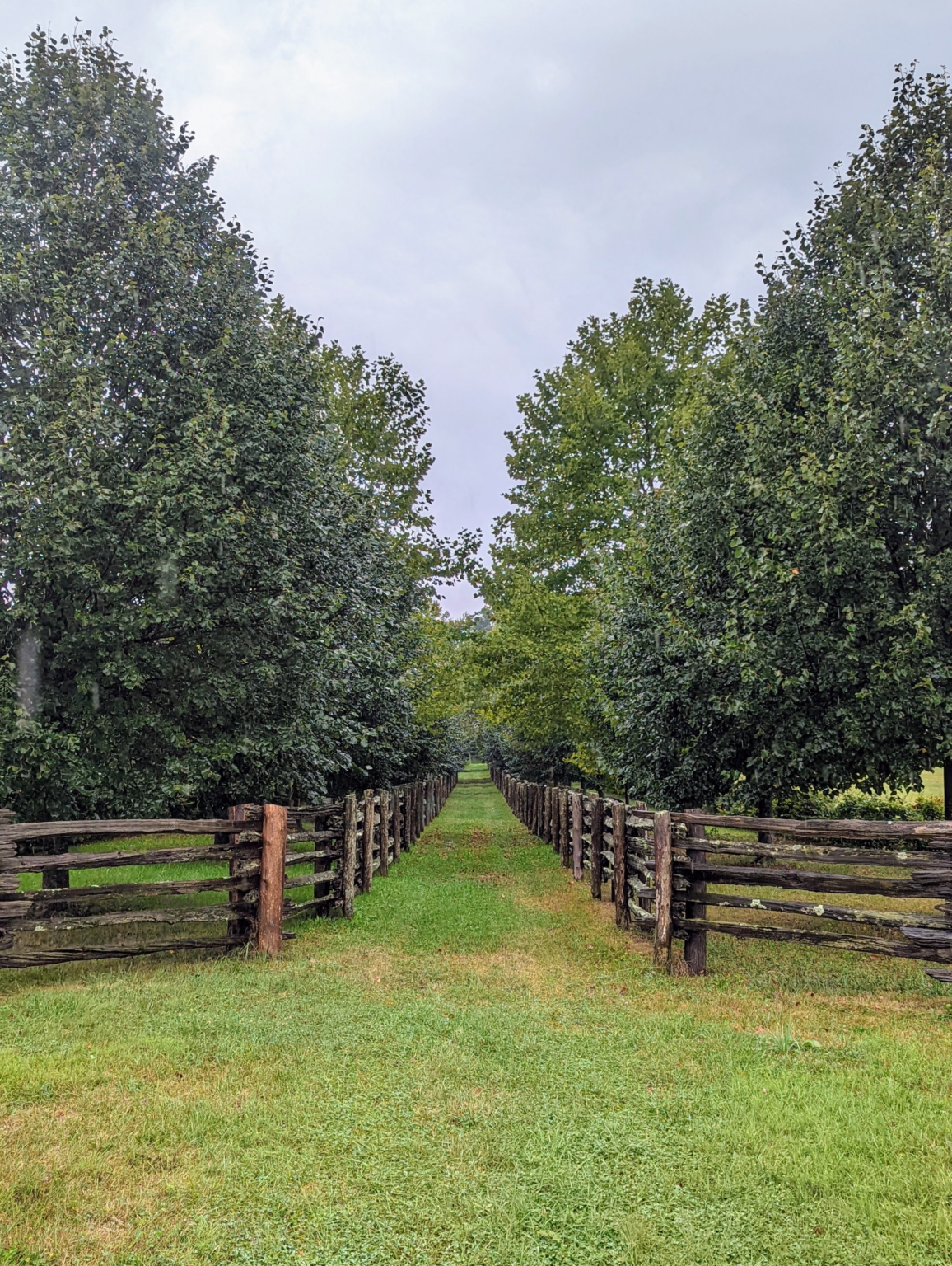 Much Needed Rain Falls Over My Farm - The Martha Stewart Blog