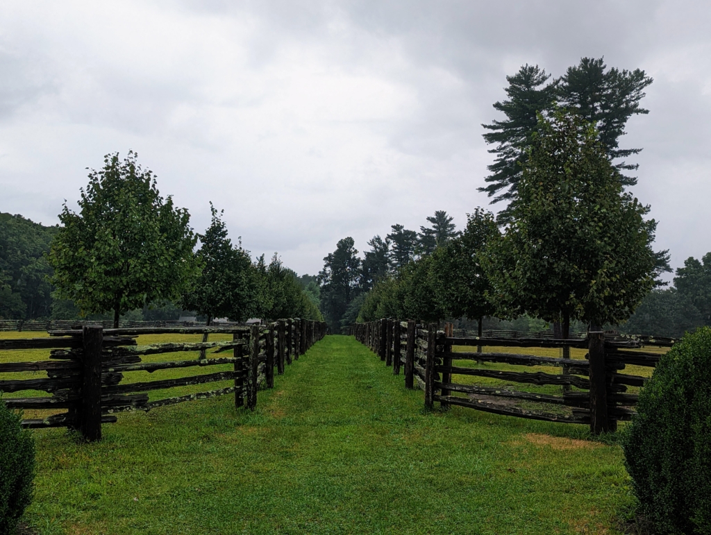 Much Needed Rain Falls Over My Farm - The Martha Stewart Blog