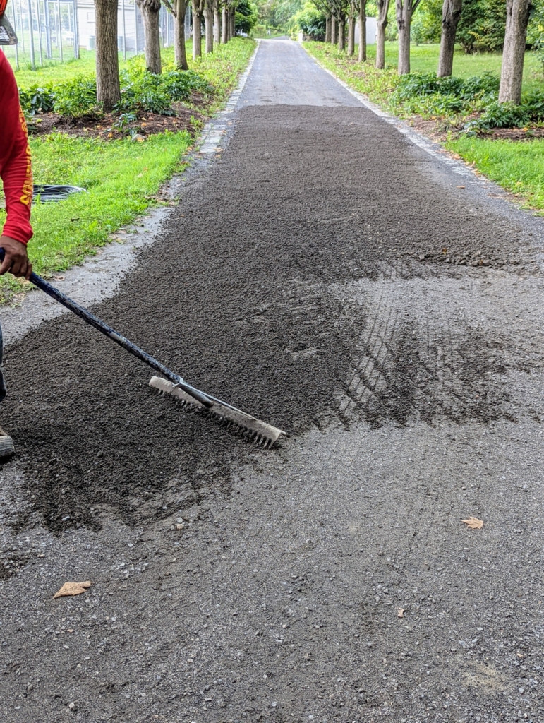 Maintaining My Carriage Roads - The Martha Stewart Blog