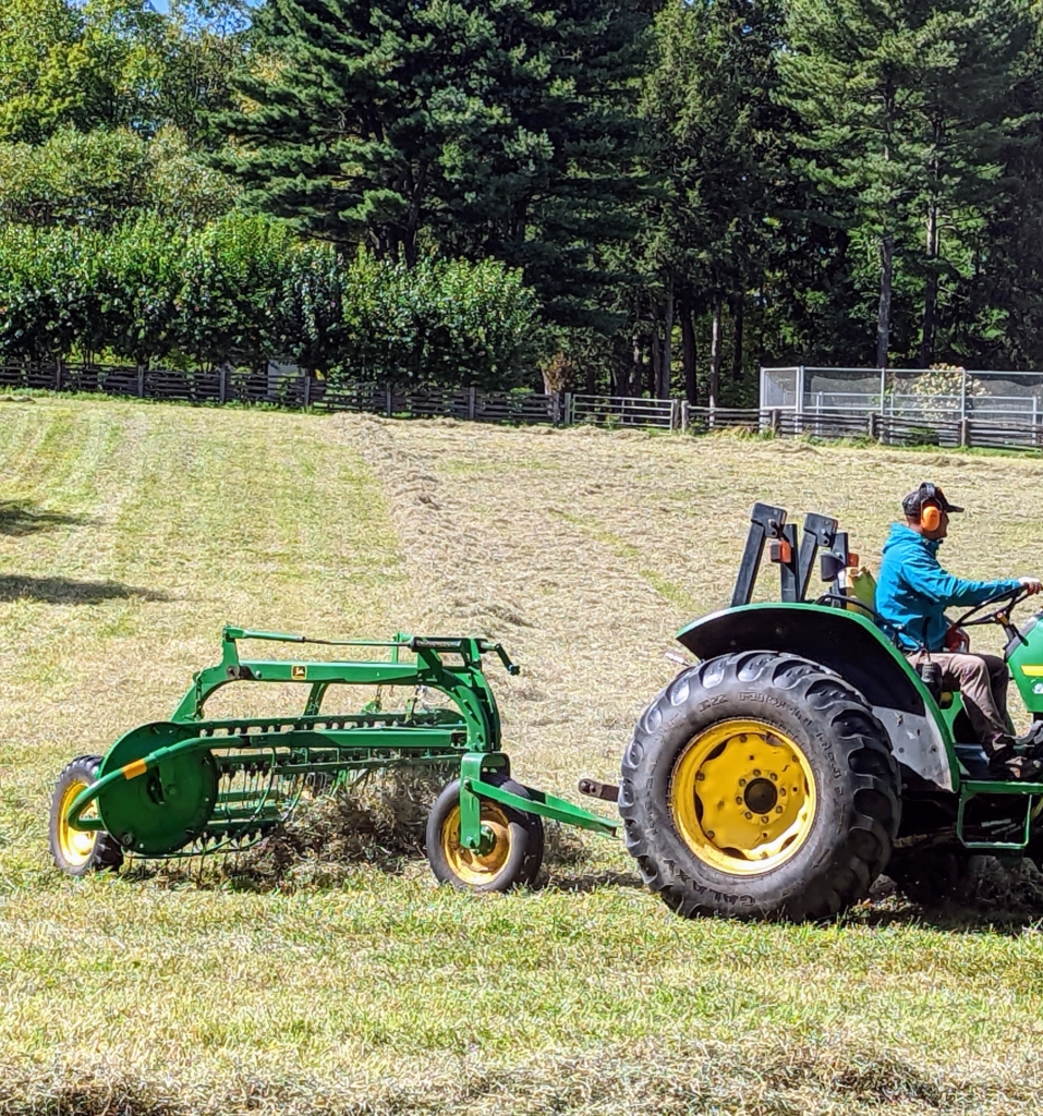 Baling Our Second Cut of Hay - The Martha Stewart Blog