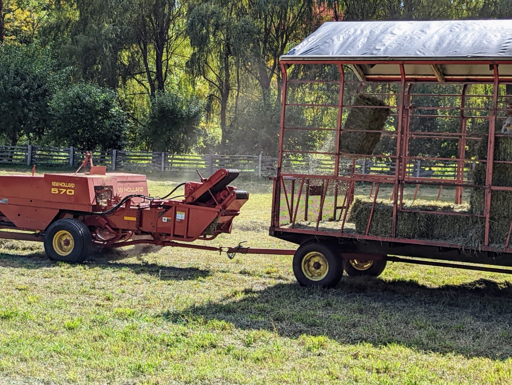 Baling Our Second Cut of Hay - The Martha Stewart Blog