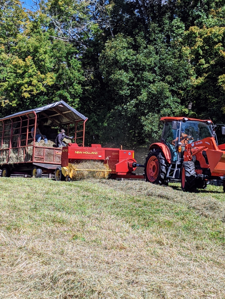 Baling Our Second Cut of Hay - The Martha Stewart Blog
