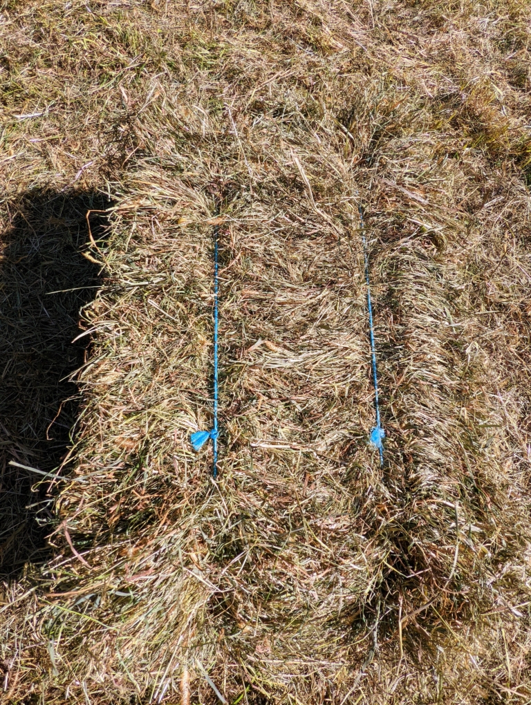 Baling Our Second Cut of Hay - The Martha Stewart Blog