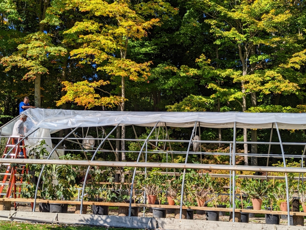 Replacing the Cover on My Hoop House - The Martha Stewart Blog