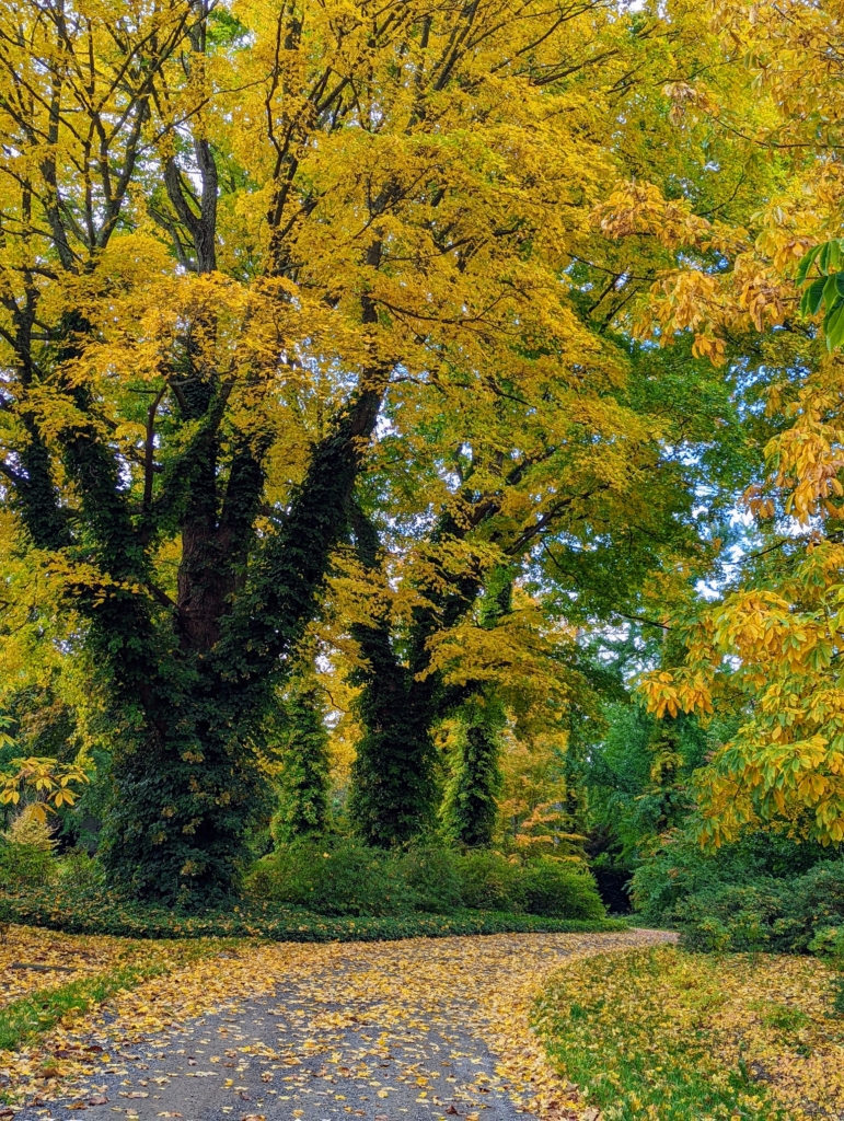 Mid-October Colors at My Farm - The Martha Stewart Blog