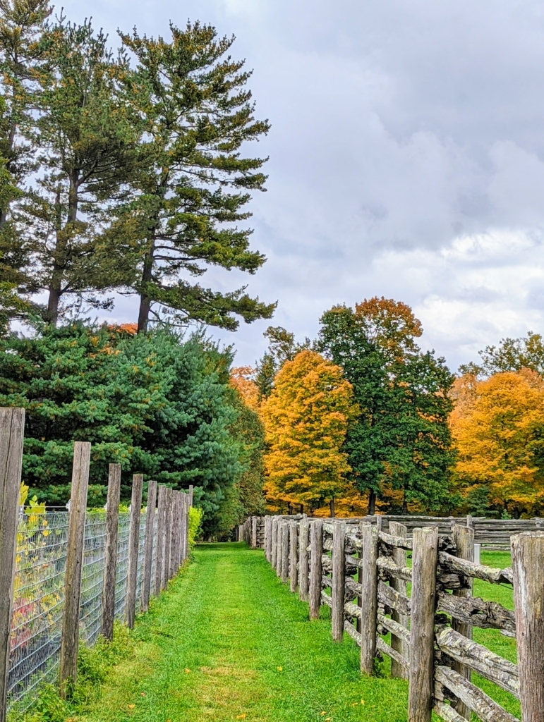 Mid-October Colors at My Farm - The Martha Stewart Blog