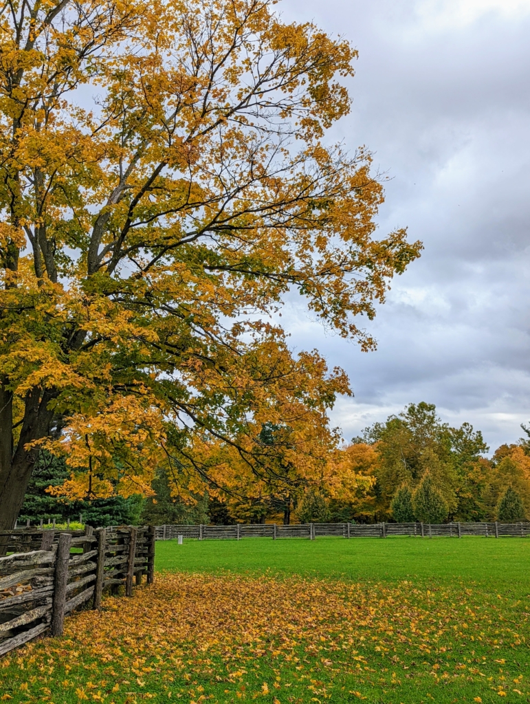 Mid-October Colors at My Farm - The Martha Stewart Blog