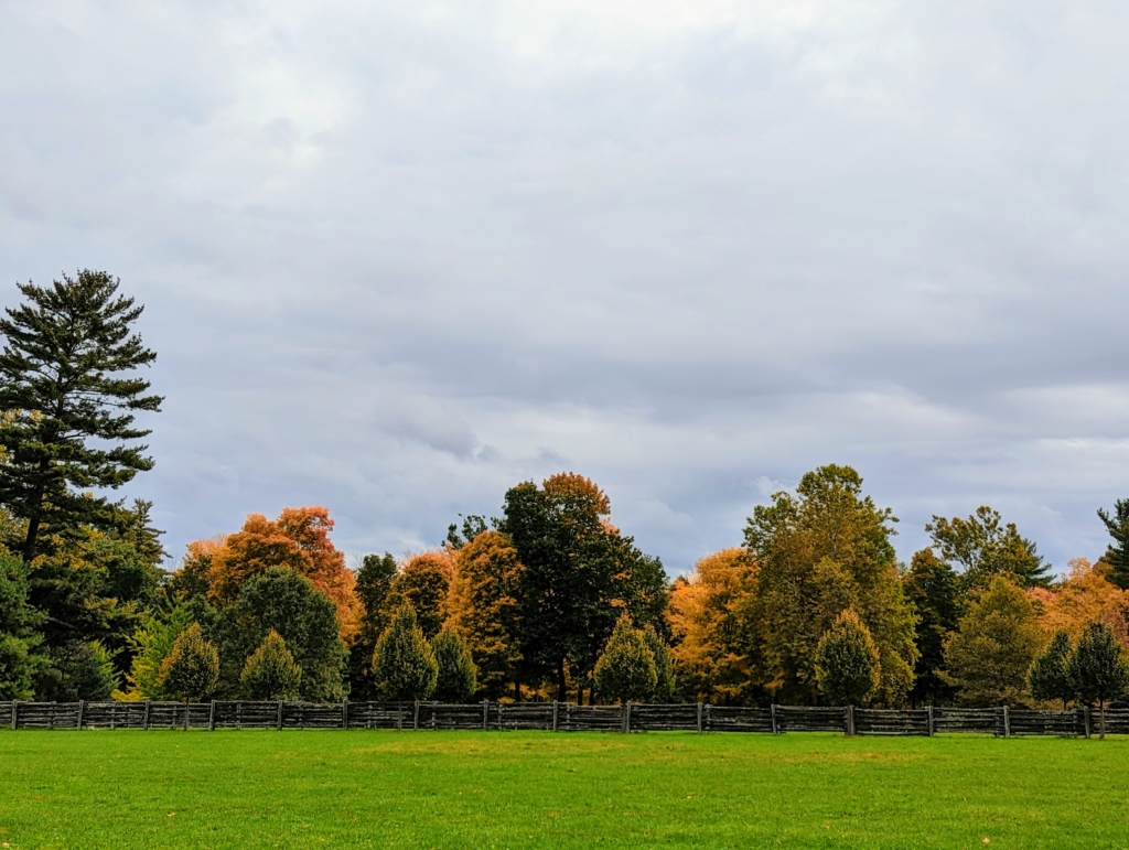 Mid-October Colors at My Farm - The Martha Stewart Blog