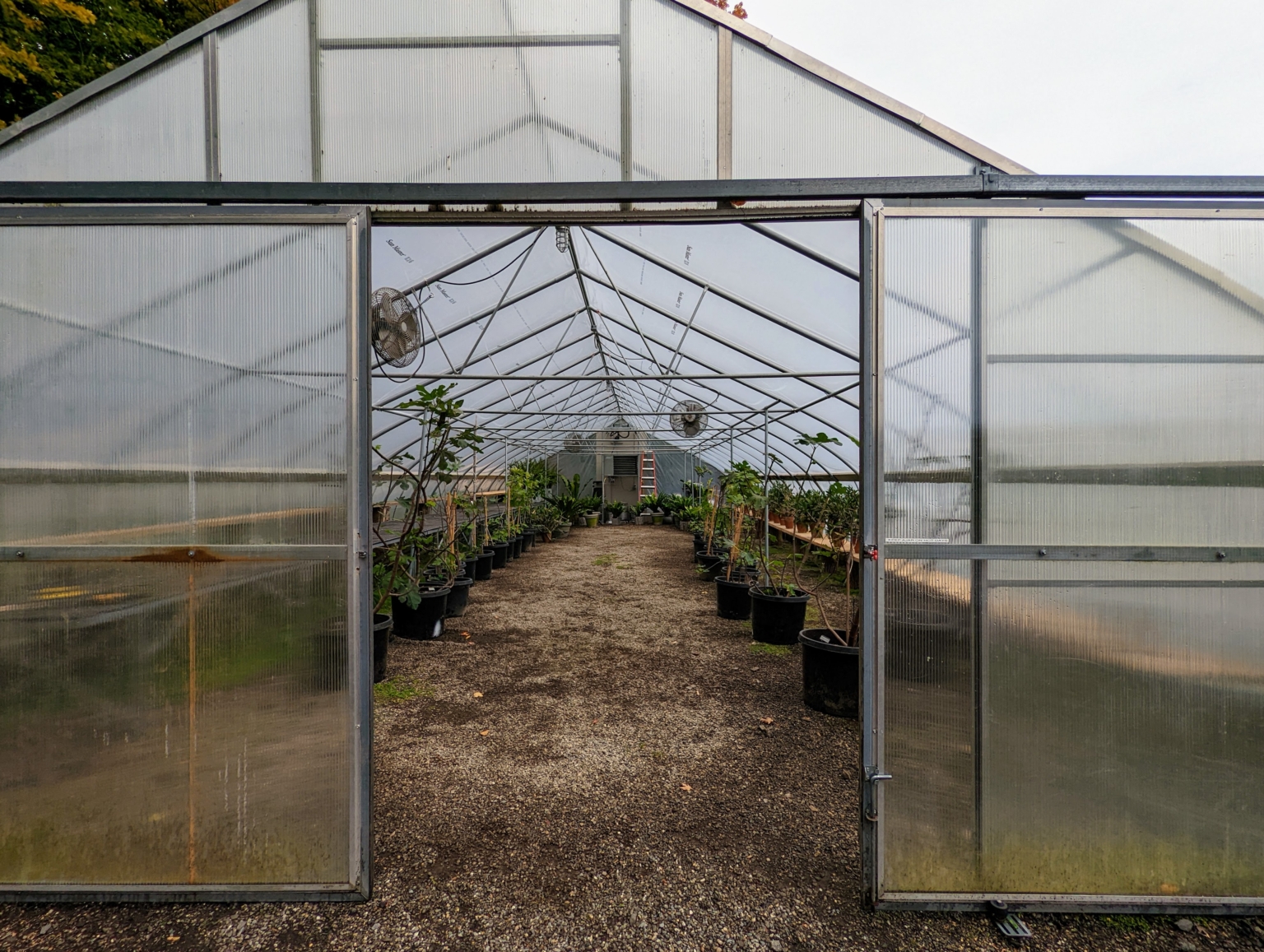 Replacing the Cover on My Hoop House - The Martha Stewart Blog