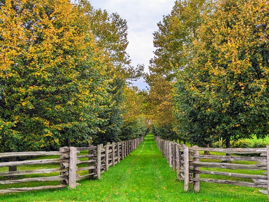 Mid-October Colors at My Farm - The Martha Stewart Blog