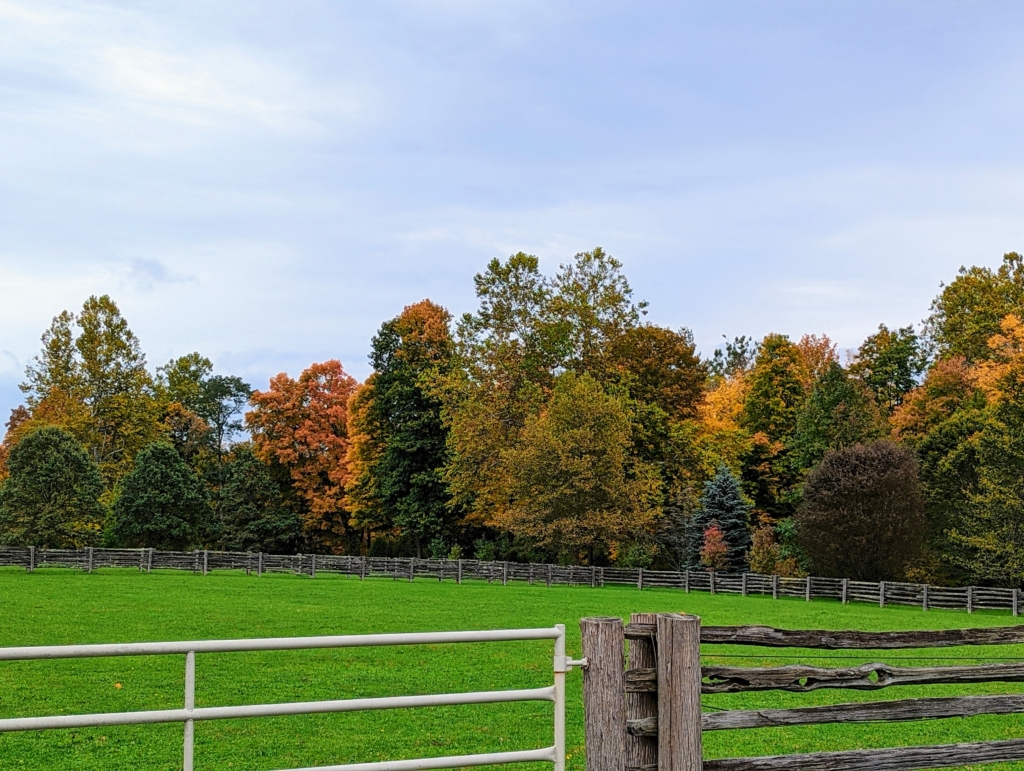 Mid-October Colors at My Farm - The Martha Stewart Blog