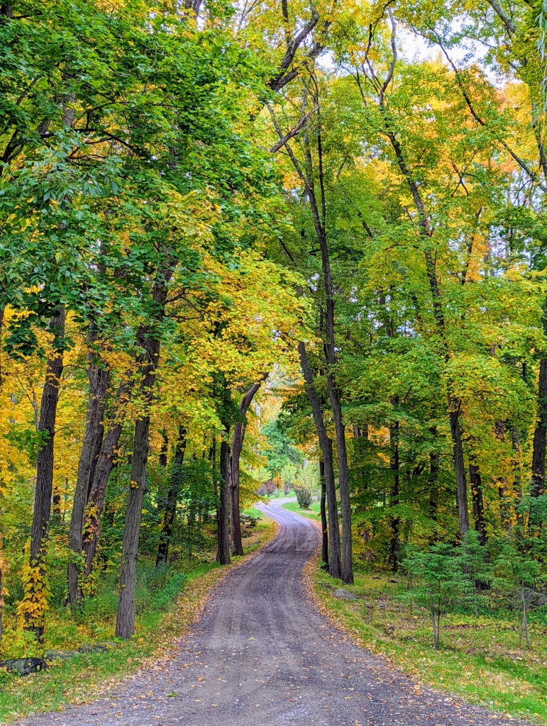 Mid-October Colors at My Farm - The Martha Stewart Blog