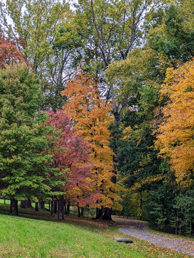 Mid-October Colors at My Farm - The Martha Stewart Blog