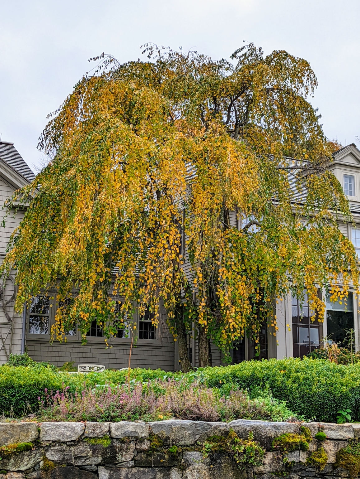 Mid-October Colors at My Farm - The Martha Stewart Blog