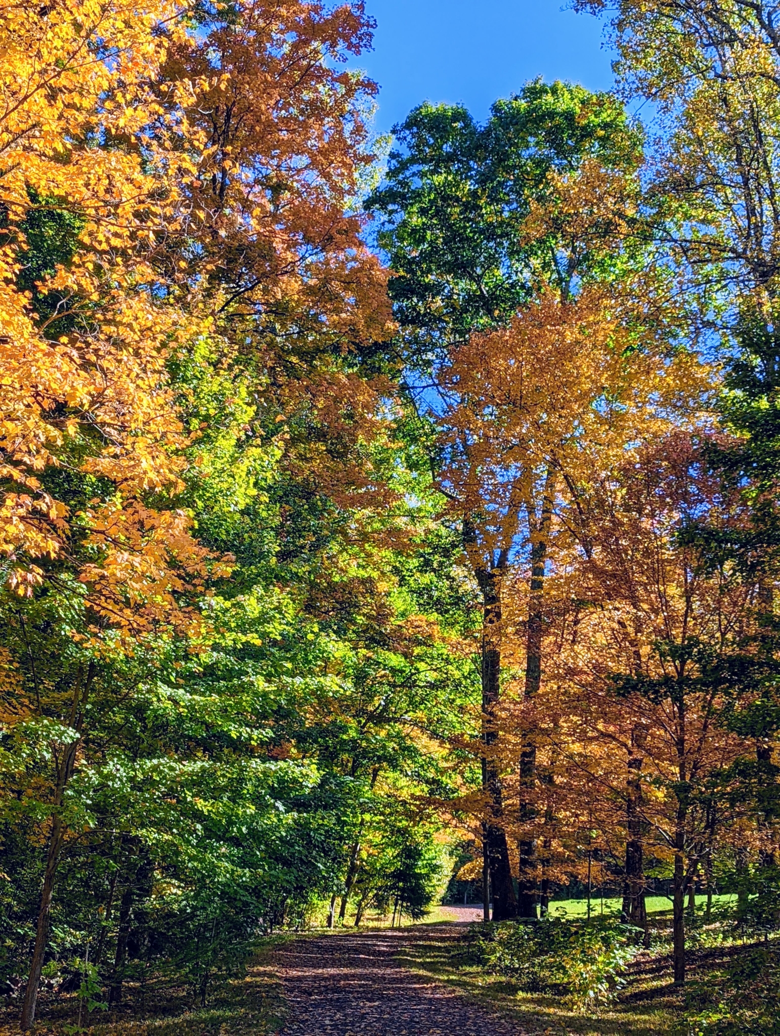 Mid-October Colors at My Farm - The Martha Stewart Blog