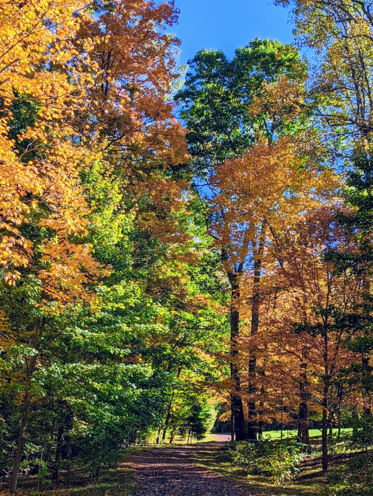 Mid-October Colors at My Farm - The Martha Stewart Blog