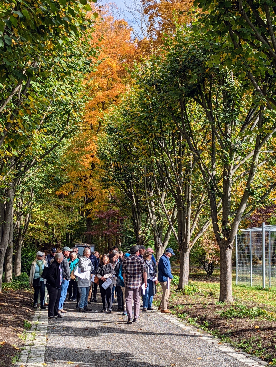 A Fall Garden Tour at My Farm - The Martha Stewart Blog