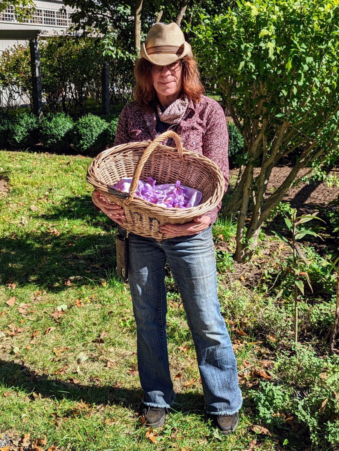 Growing and Harvesting Saffron at My Farm - The Martha Stewart Blog