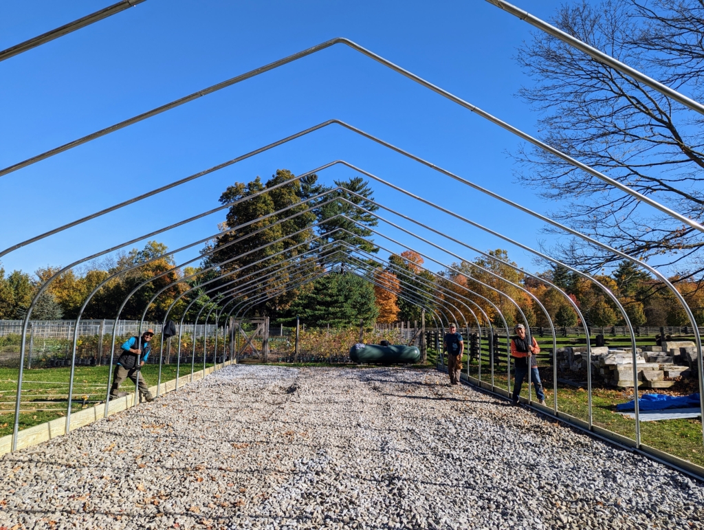 A New Hoop House for My Tropical Plants - The Martha Stewart Blog