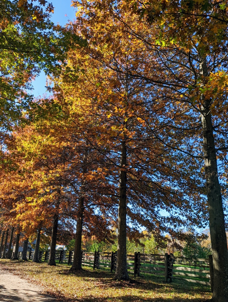 Getting Fall Chores Done Around the Farm - The Martha Stewart Blog