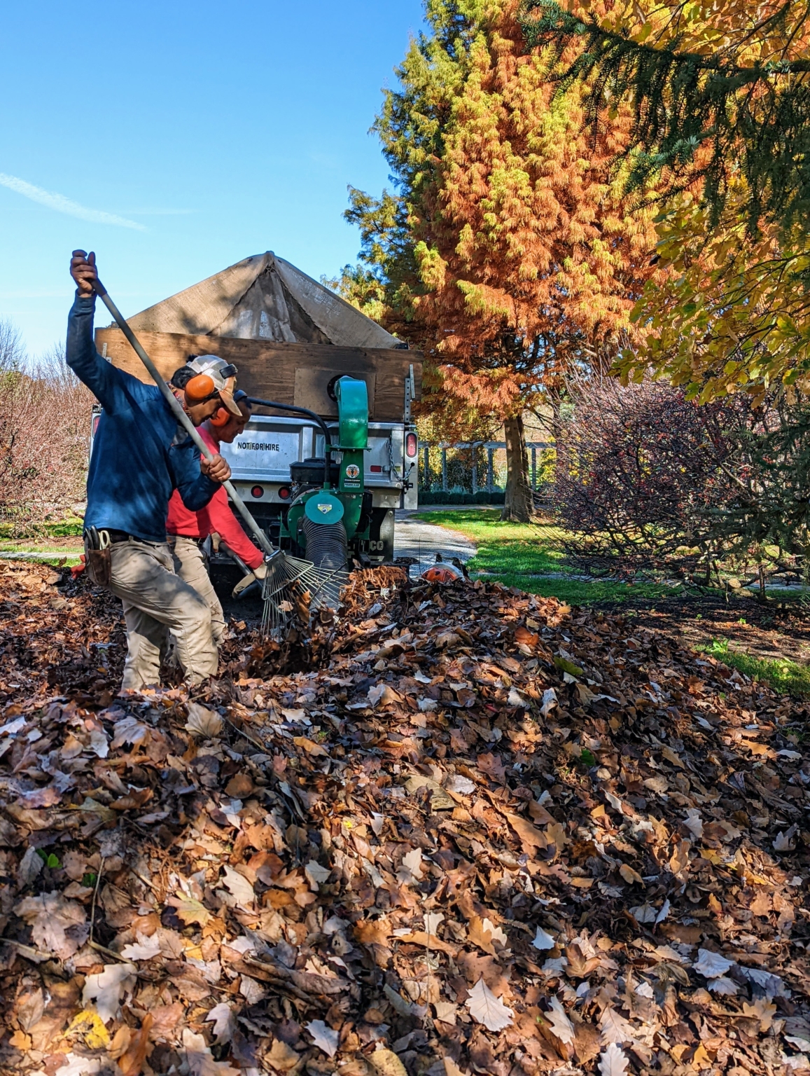 Getting Fall Chores Done Around the Farm - The Martha Stewart Blog