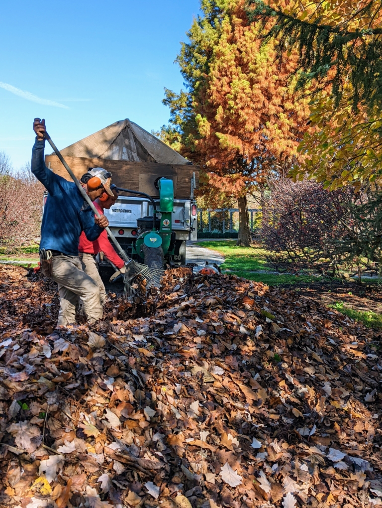 Getting Fall Chores Done Around the Farm - The Martha Stewart Blog