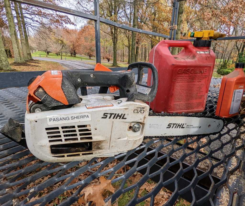 Pruning the Pin Oaks - The Martha Stewart Blog