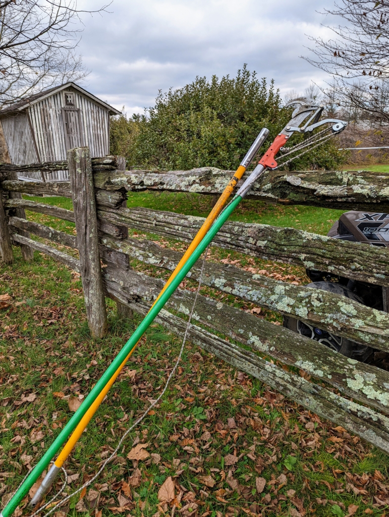 Pruning the Linden Trees - The Martha Stewart Blog