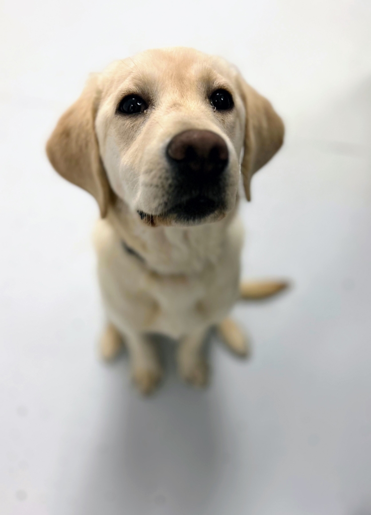 The Martha Stewart Blog : Blog Archive A Guest Blog from Ari Katz on ...