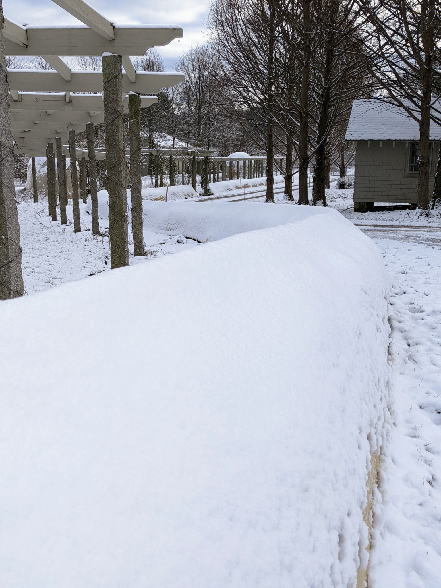 The Season's First Snow 2022 - The Martha Stewart Blog