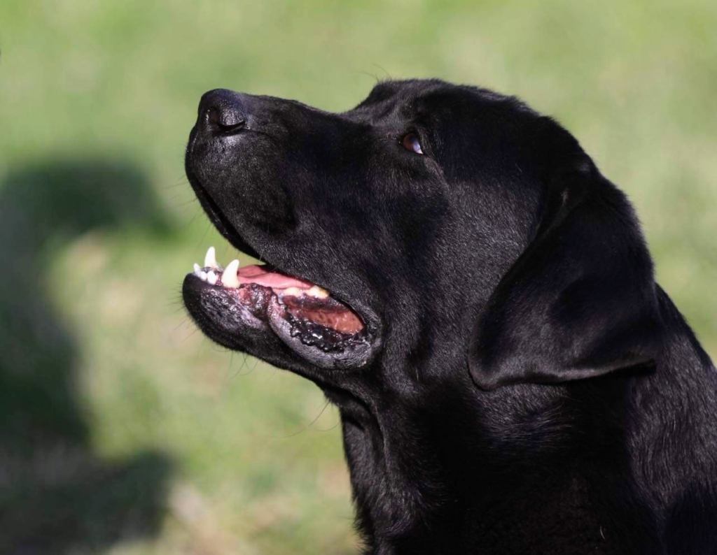 The Martha Stewart Blog : Blog Archive A Guest Blog from Ari Katz on ...