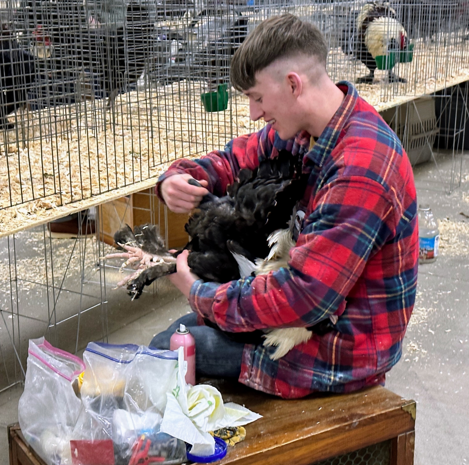 The 2023 Northeastern Poultry Congress in Springfield, Massachusetts ...
